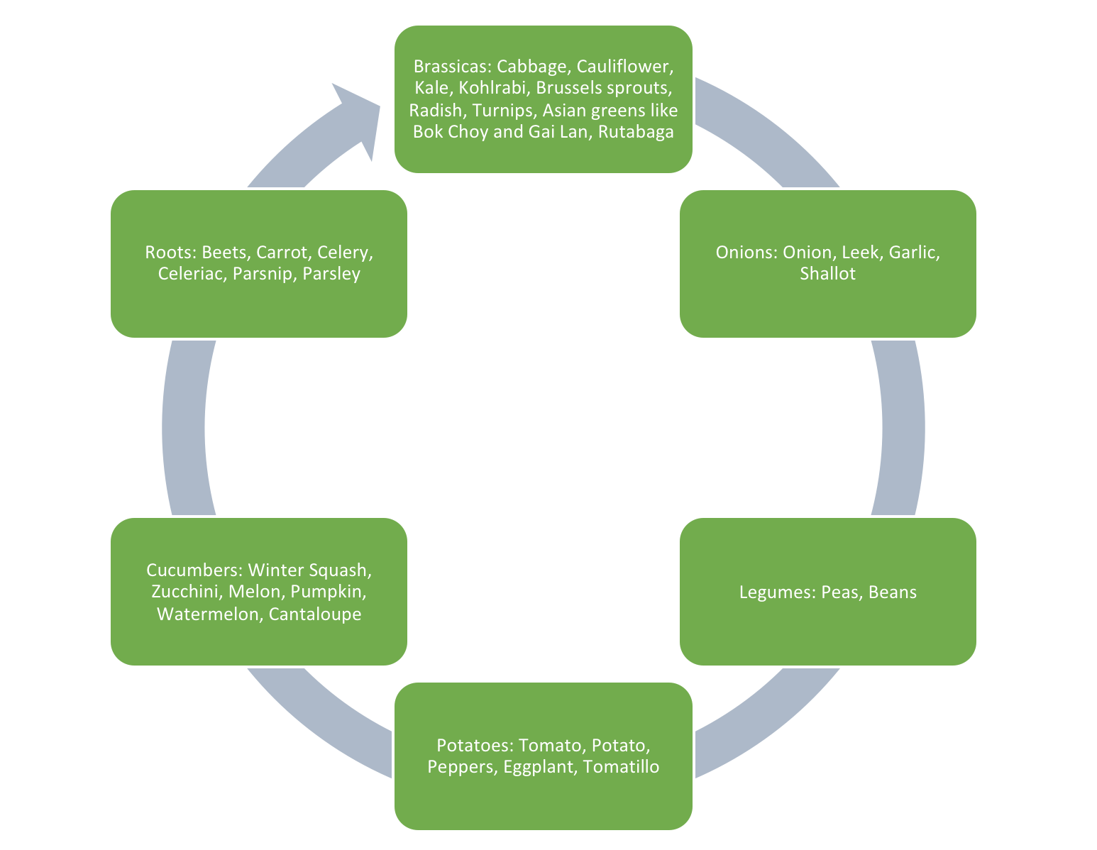 Rotating your vegetables - Gardening at USask - College of Agriculture ...