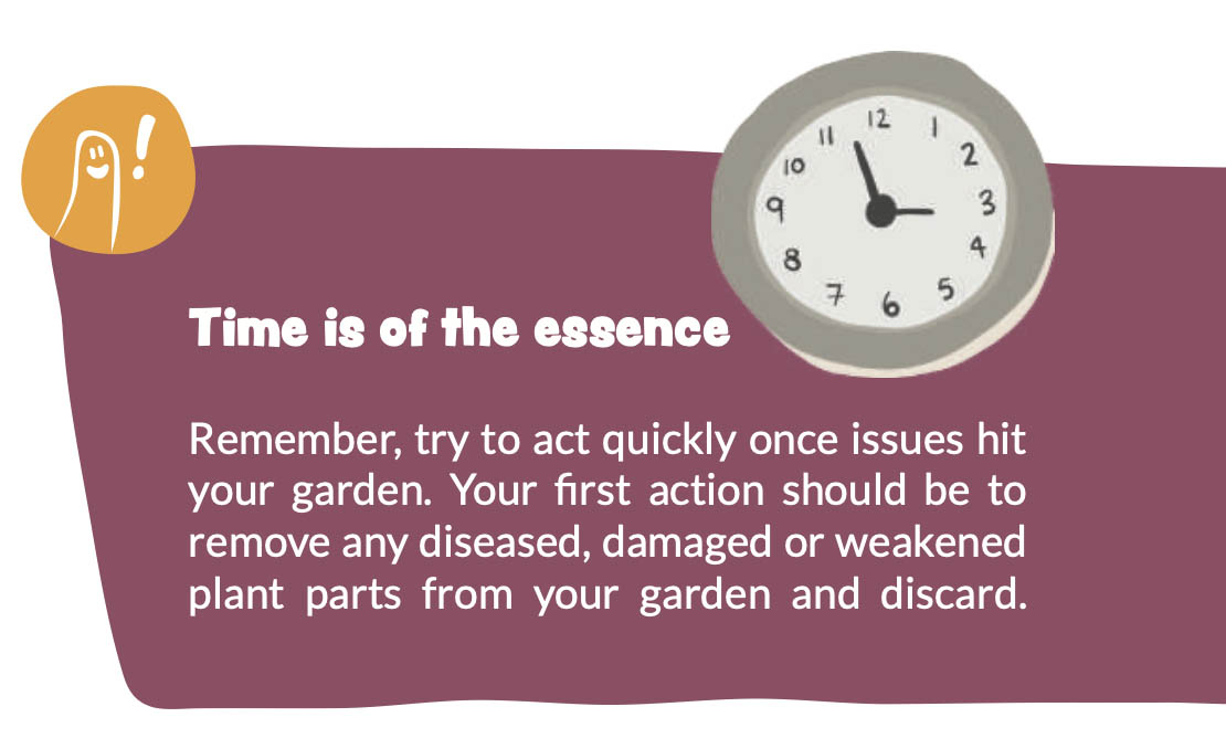 Preventing common problems - Gardening at USask - College of ...